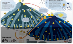 For the Public | CiRA | Center for iPS Cell Research and Application ...