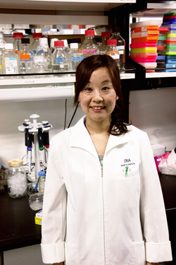 CiRA Reporter Vol.3 - Center for iPS Cell Research and Application ...